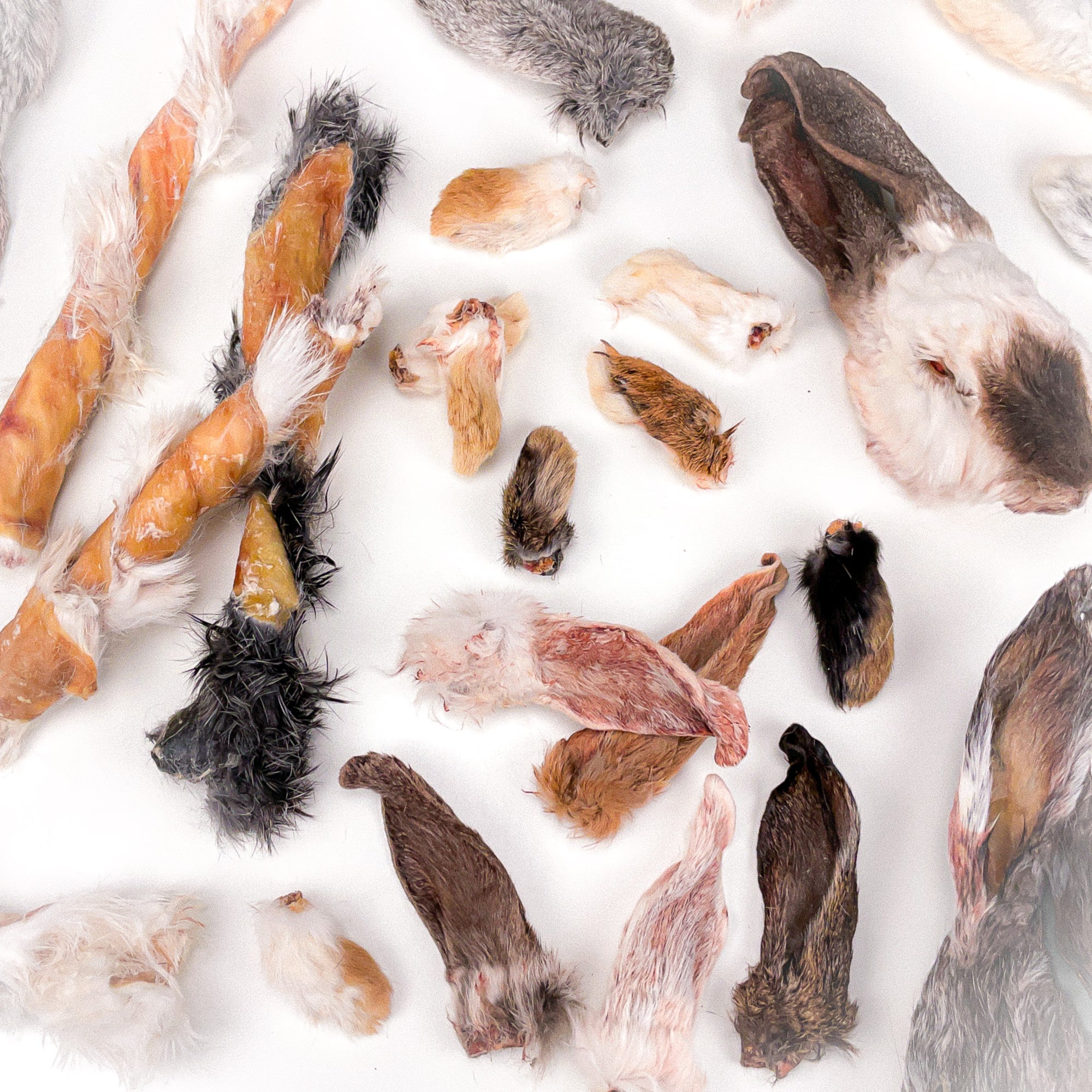 The Rabbit Tap | Raw Pet Food and Treats